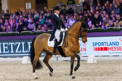 Pferdsport Zucht Und Sport In Schleswig Holstein Und Hamburg