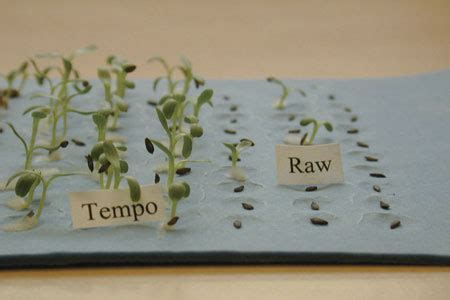 What Is Seed Priming Germains Seed Technology