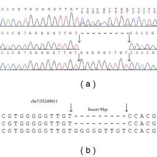 Experimental Confirmation Of One CODIS STR Locus Identified By The Download Scientific Diagram