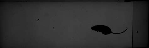 Figures And Data In Ventral Striatum Dopamine Release Encodes Unique Properties Of Visual