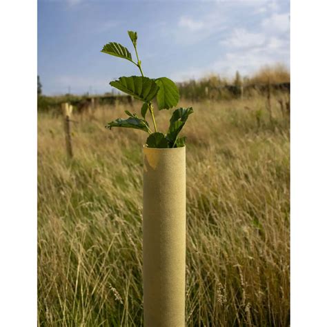 Tree Hugger™ Biodegradable Shelters Sustainable Tree Guard Protection