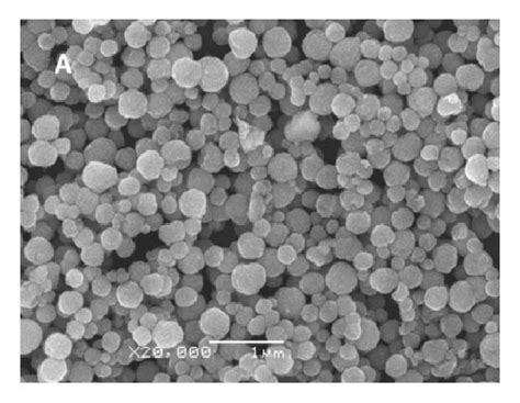 SEM Images Of Samples A Fe3O4 SiO2 B BSO 0 C BSO 0 05 D Download Scientific Diagram