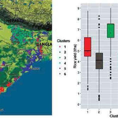 Paddy Yield Trends In Six Clusters Download Scientific Diagram