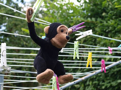 Mailchimp Api Python