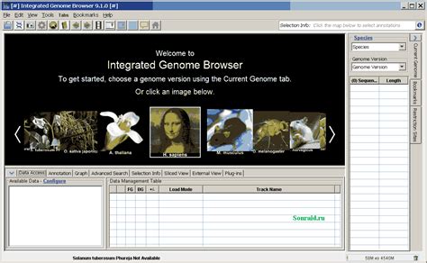Integrated Genome Browser 910 X64 для просмотра и анализа геномных данных