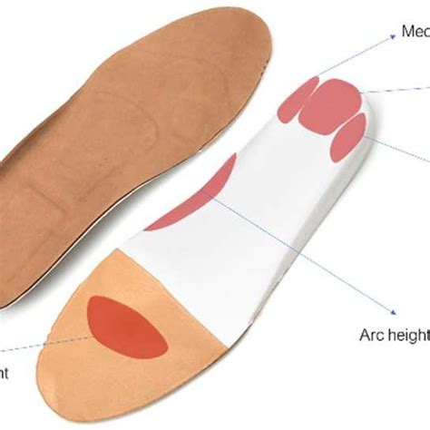 Parameters For Custom Insole Making Download Scientific Diagram