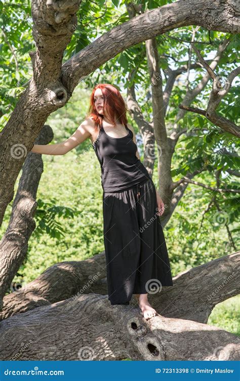 Girl On A Tree Branch Stock Photo Image Of Face Summer 72313398