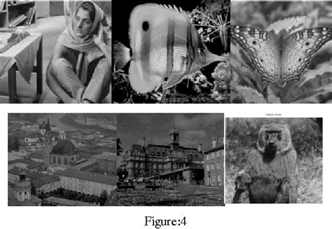 Figure 5 From Digital Image Texture Classification And Detection Using