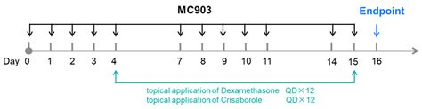 Atopic Dermatitis Mouse Models Biocytogen