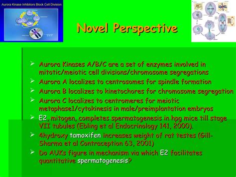 Regulation Of Spermatogenesis Recapitulation 9 Ppt