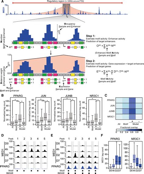 transcription factor binding site