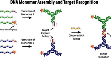 Portable Device To Detect Pathogens In 30 Minutes Cnet