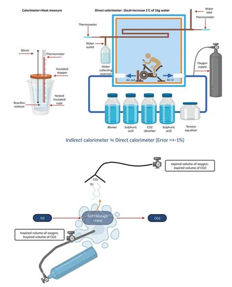 Clinical Application And Significance Of Indirect Calorimetry In