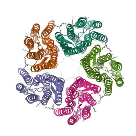 Rcsb Pdb 8r0m Cryo Em Structure Of The Microbial Rhodopsin Cryor1 At