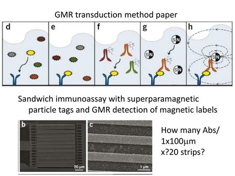 Ppt Class 7 Fet Wgm And Gmr Based Signal Transduction How Do These Transduction Methods Work