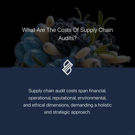What Are The Costs Of Supply Chain Audits → Question
