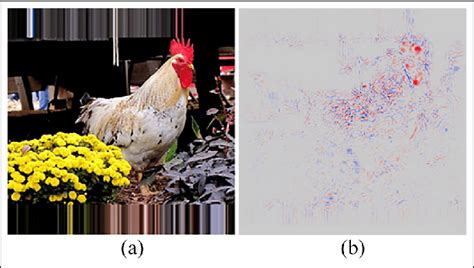 Original Image And Example Heatmap Per Instance Explanation For A Cnn Original Image And Example Heatmap Per Instance Explanation For A Cnn