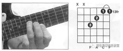 【每天一和弦】f和弦的五种按法