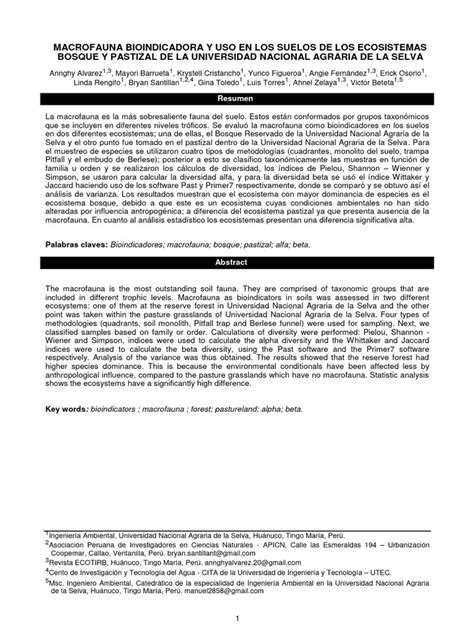 Macrofauna Pdf Valor P Biodiversidad
