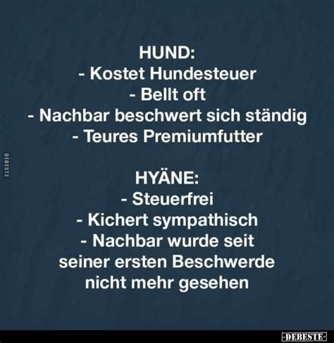 HUND Kostet Hundesteuer DEBESTE De