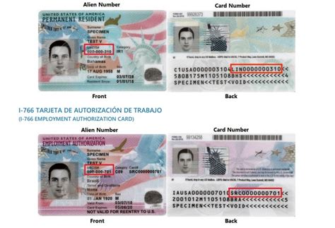 Tarjeta De Cruce Fronterizo ¿dónde Está El Número De La Tarjeta De