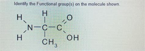 Solved Identify The Functional Group S On The Molecule Chegg Com