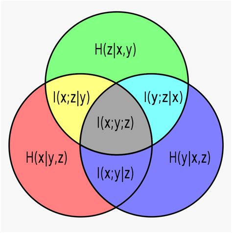 Multivariate Mutual Information In Entropy Hd Png Download Kindpng