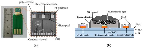 Sensors Free Full Text Fabrication Of A Miniature Multi Parameter Sensor Chip For Water