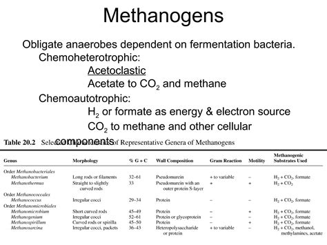 Archaea Methanogens Ppt