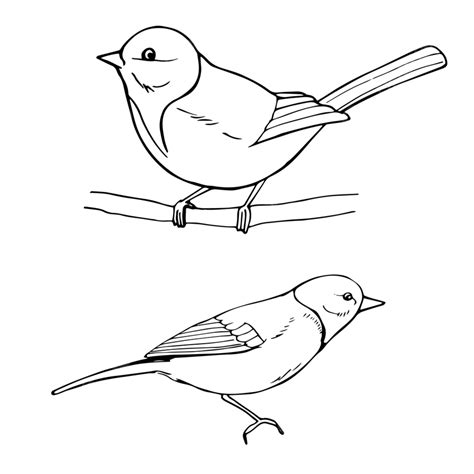 Small Tit Vector PNG Vector PSD And Clipart With Transparent Background For Free Download