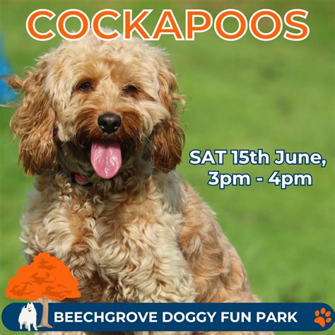 Special Events Beech Grove Doggy Fun Park