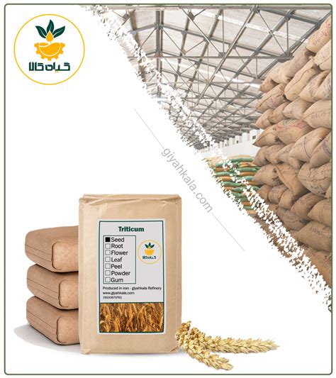 قیمت، خرید و فروش جوانه گندم خشک فله ضد میکروبی