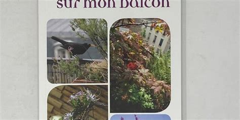 Urban Vegetable Garden An Ecosystem On My Balcony Association Kokopelli