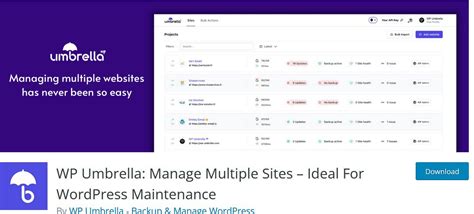 5 Essential Plugins for WordPress to Boost Productivity and Website Performance - ColibriWP Blog