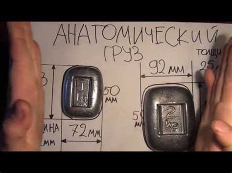 Анатомический груз АНТИЗАЦЕП для подводной охоты, дайвинга. Краткий ...