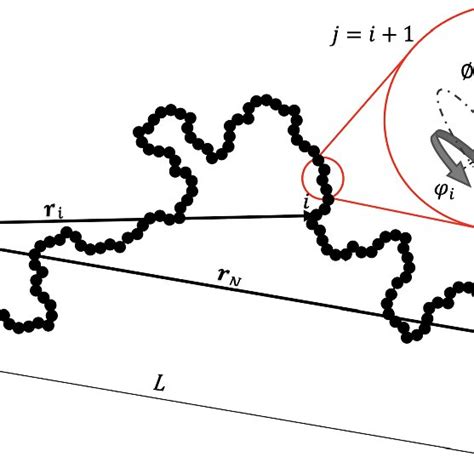 a Initial conformation. b Current conformation. A single polymer chain ...
