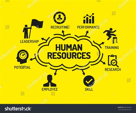 Human Resources Chart Keywords Icons On Stock Vector Royalty Free 395180659 Shutterstock