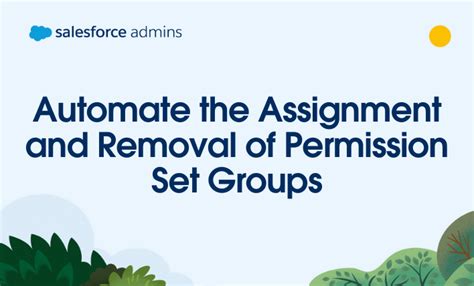 Automate The Assignment And Removal Of Permission Set Groups Salesforce Admins
