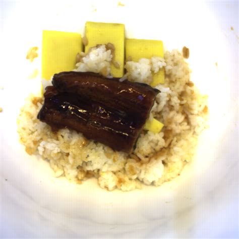 How To Use The Hyperspectral Image Object Detection Api