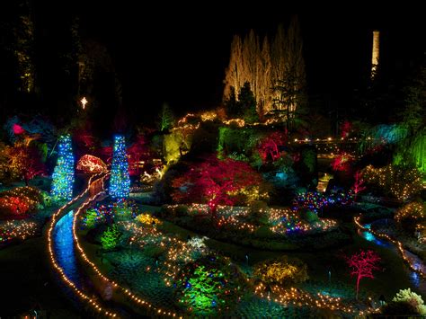 Christmas Lights In Victoria Bc 11 Things To Do In Victoria This