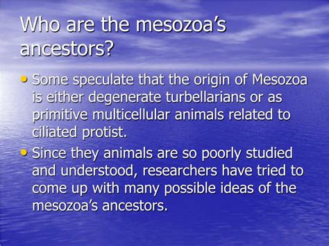Ppt Mesozoa Powerpoint Presentation Free Download Id 285733