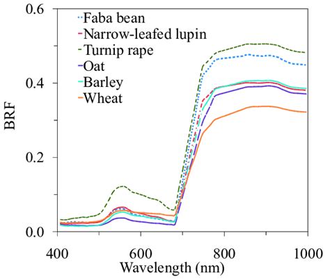 Averaged Canopy Reflectances Spectral Hemispherical Directional Download Scientific Diagram
