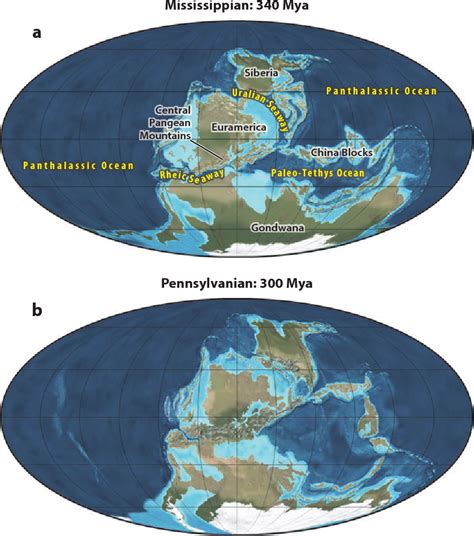 Late Paleozoic Plants
