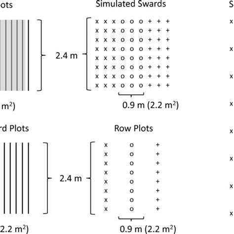 Diagram Of Five Plot Types Used For Field Evaluation Of Switchgrass Diagram Of Five Plot Types Used For Field Evaluation Of Switchgrass