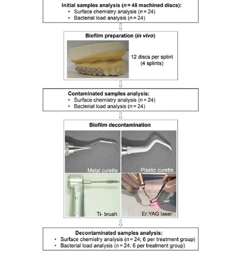Flow Chart Of Material And Methods Download Scientific Diagram