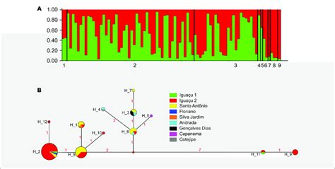 a graphical representation of bayesian cluster analysis from k 1