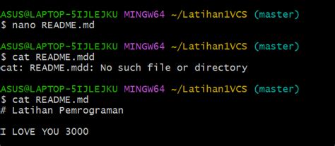 github vsalcode labpy