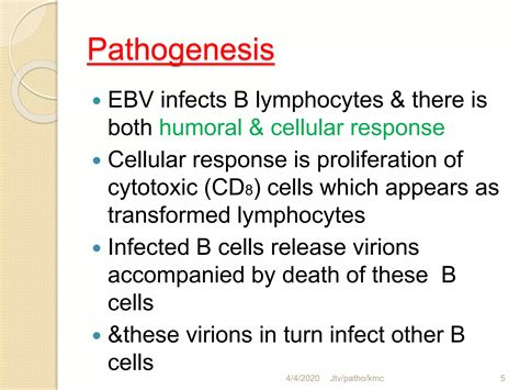 Infectious Nucleosis Jtvpathokmc Pptx