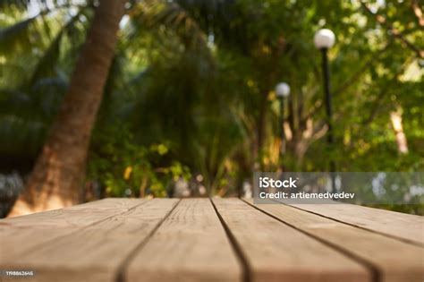 제품 배치 및 열린 그늘에 표시하기위한 천연 나무 테이블의 빈 상단 배경에 코코넛 야자수와 녹색 열대 식물입니다 몰디브 목재 재료에 대한 스톡 사진 및 기타 이미지 Istock