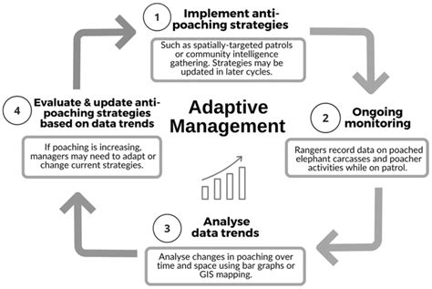 A Conceptual Diagram Showing A Simplified Standard Adaptive Management Download Scientific